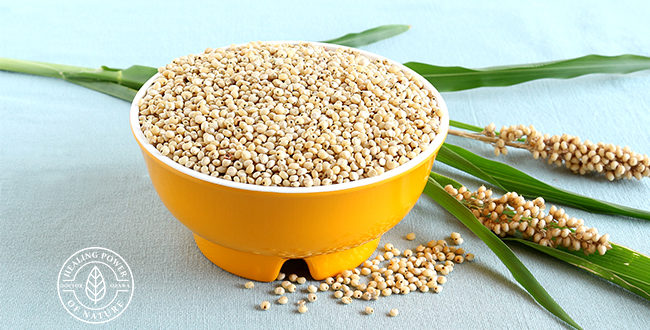 【ソルガム（モロコシ）】 ～古くて新しいスーパーフード～| ドクターサプリUSA